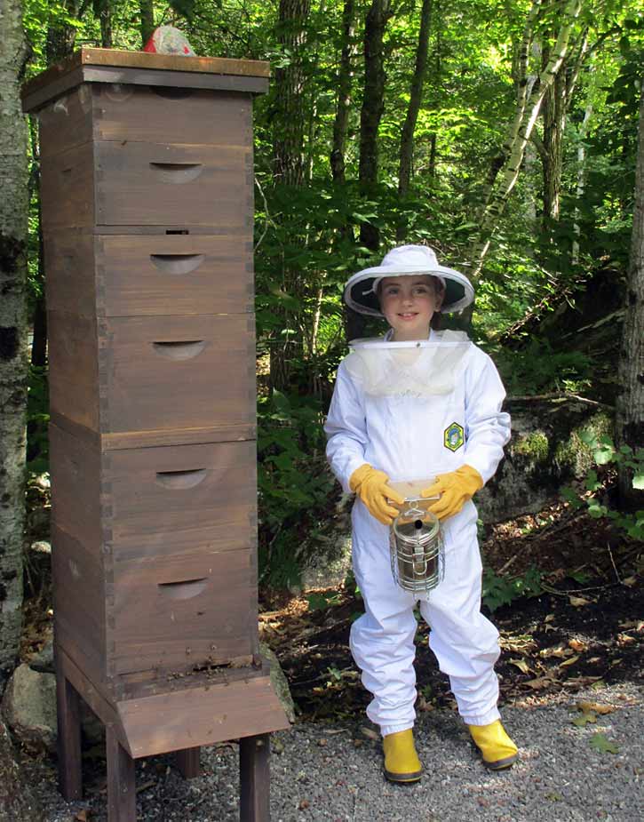 Evironmental Science: Scouts BSA Event at Clark's Bears, Lincoln, NH